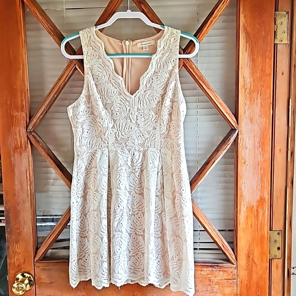 Francesca's Collections | Dresses | Francesca Lace Dress | Poshmark